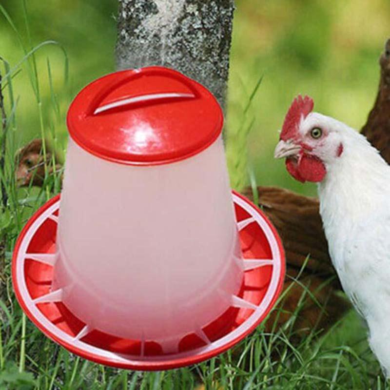 Poultry Feeders & Waterers – Arnall Grocery